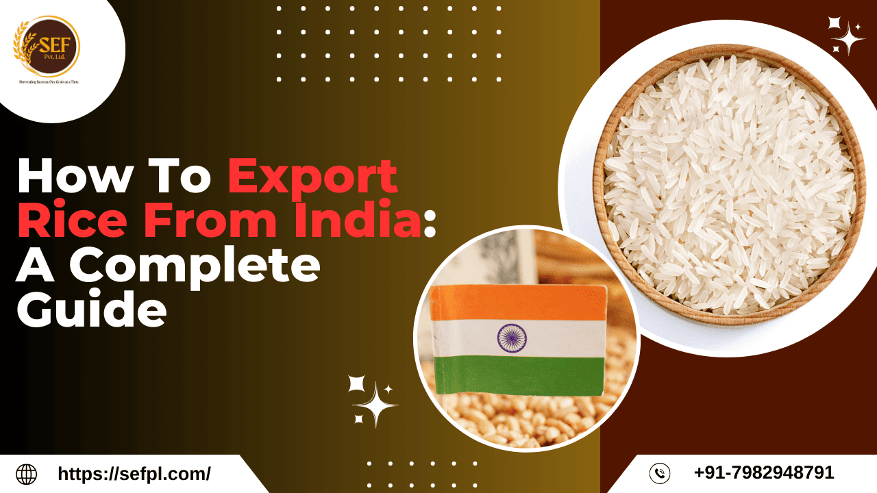 How to Export Rice From India? A Complete Guide - Shah Enterprises