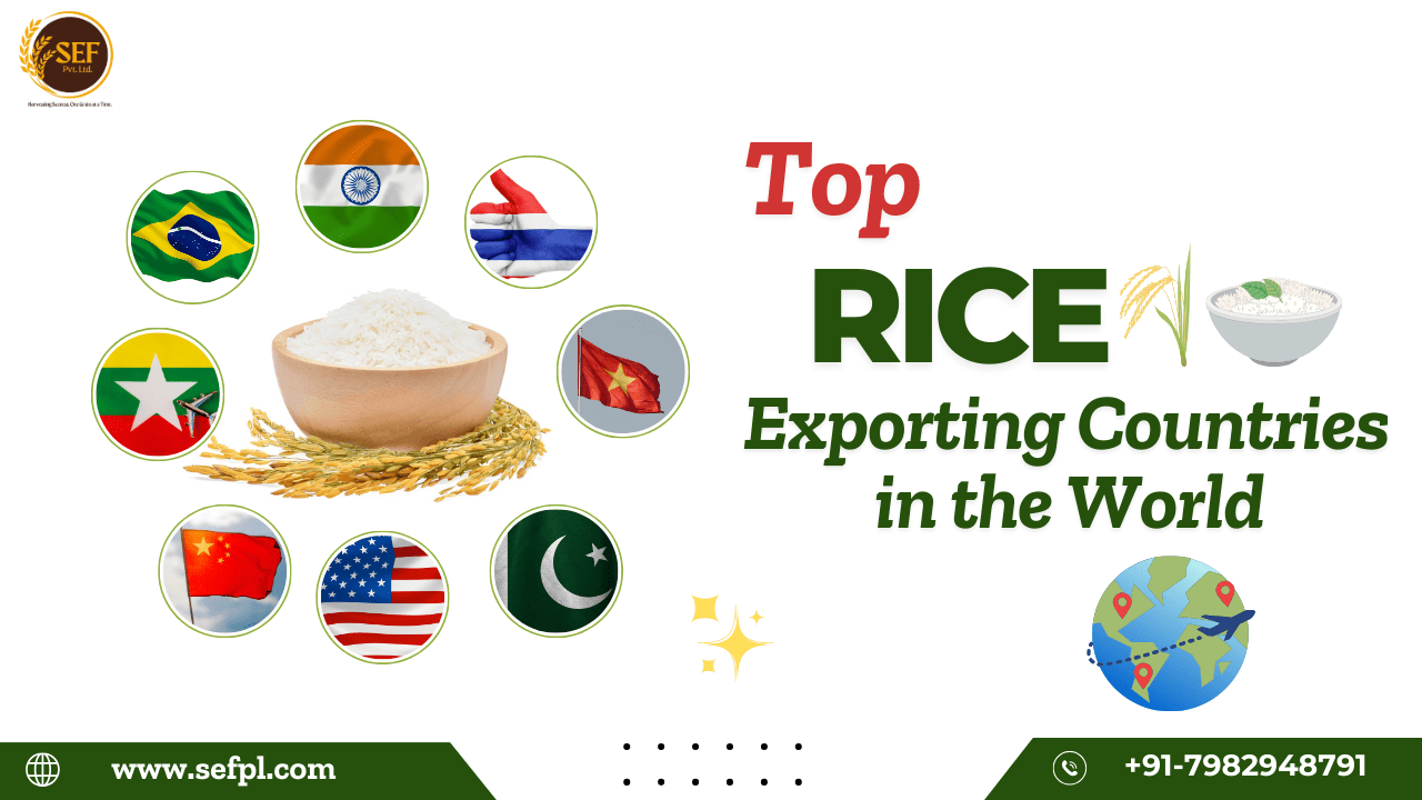 Top Rice Exporting Countries in the World in 2025 - Shah Enterprises