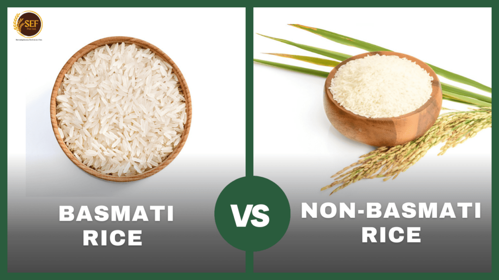 What is the Difference Between Basmati and Non-Basmati Rice?