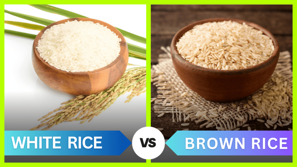 White Rice vs Brown Rice: Which Is Better? - Shah Enterprises