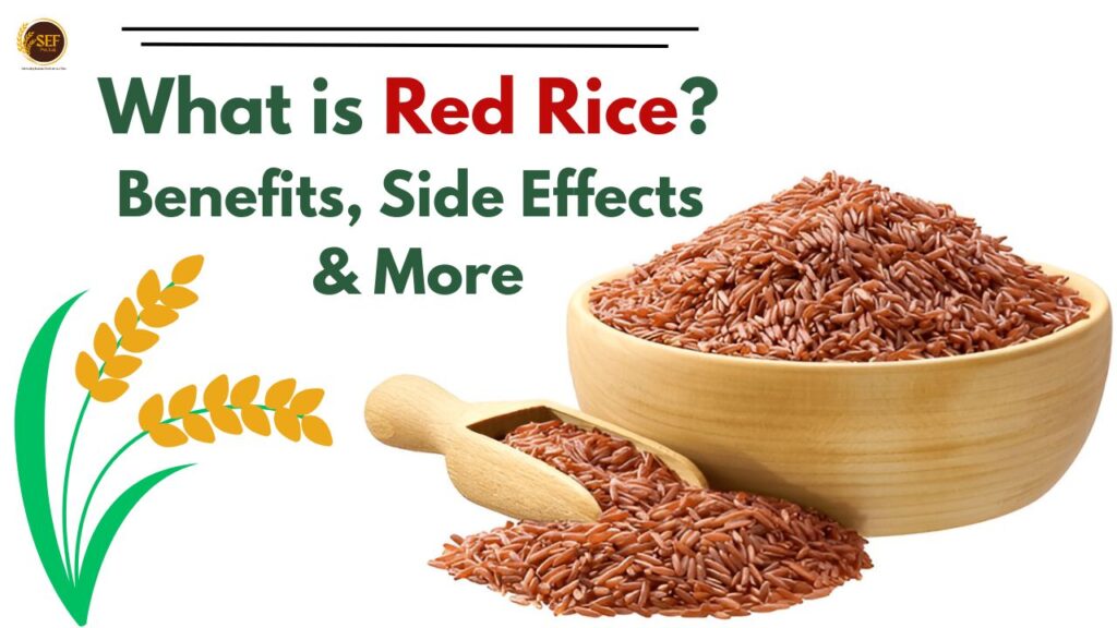 What is Red Rice? Benefits, Side Effects & More - Shah Enterprises