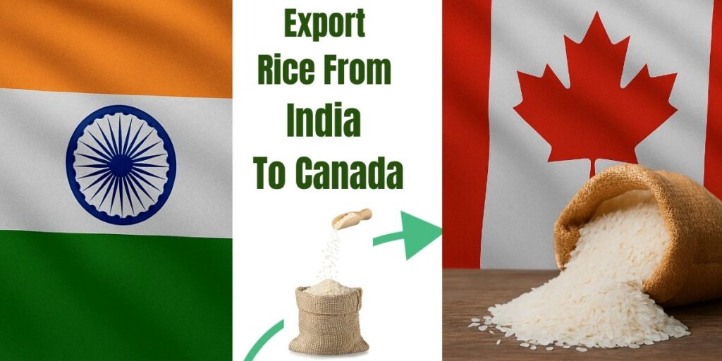 How To Export Rice From India To Canada? - Shah Enterprises