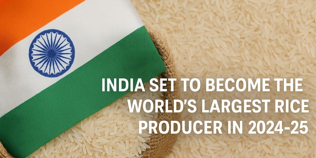 India Set to Become the World’s Largest Rice Producer in 2024–25 - Shah ...
