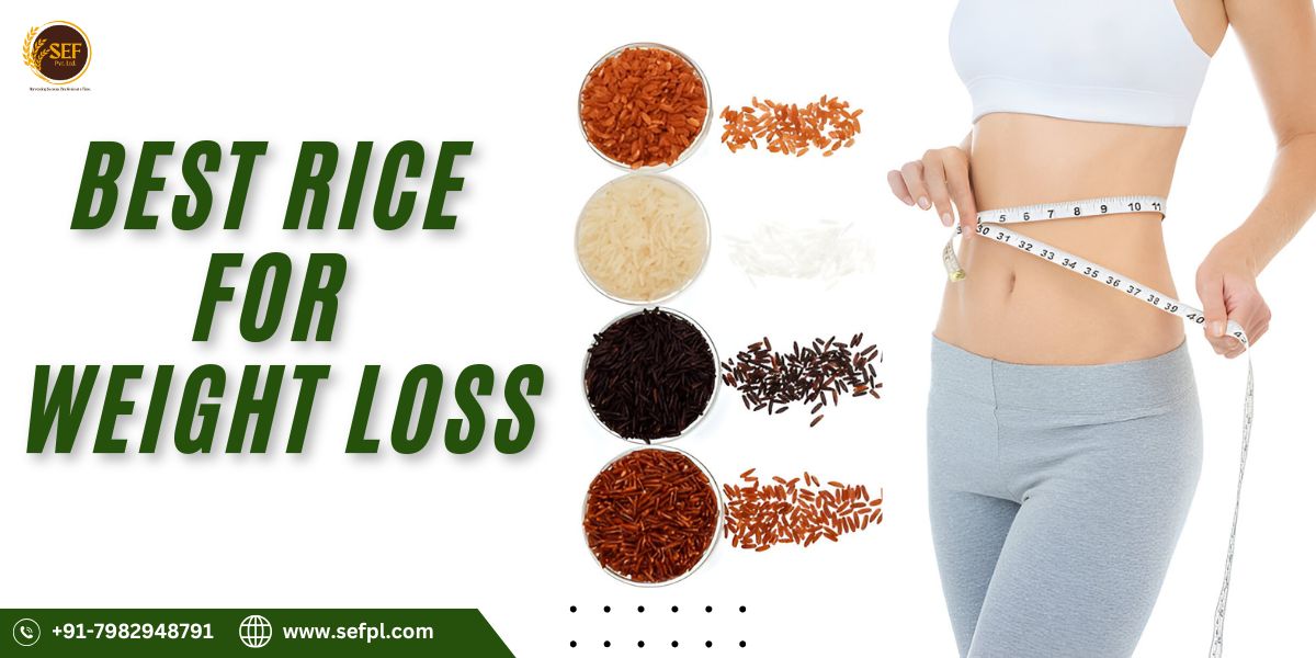 Best Rice For Weight Loss: Brown, Red, Black Rice & More - Shah Enterprises