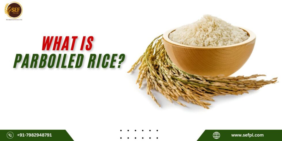 How Much Yield of Rice Per Acre? - Shah Enterprises