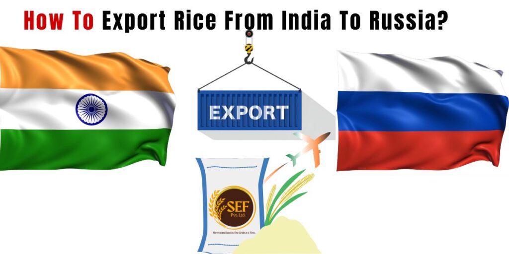 How to Export Rice From India? A Complete Guide - Shah Enterprises